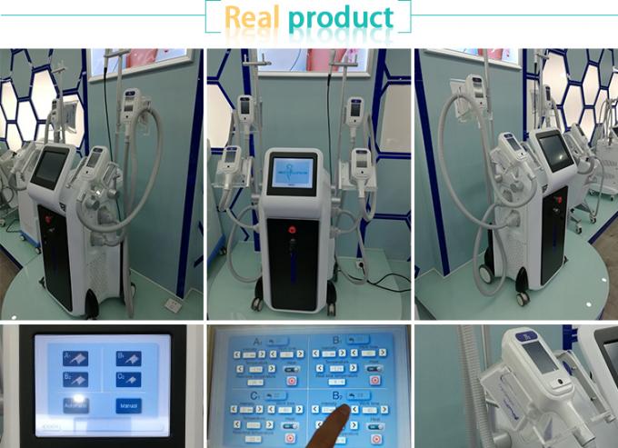 OEM and ODＭ service cryoliplysis fat reduction machine 